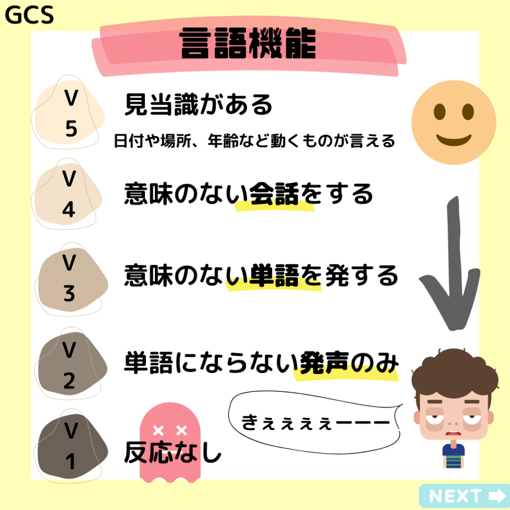 【国試頻出】意識レベルについて 〜JCSとGCSの評価方法〜 ‣ 看護師国家試験対策｜オンライン個別指導｜サキのまなびや