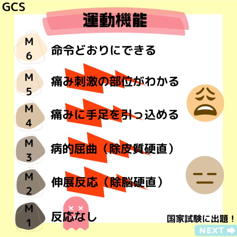 【国試頻出】意識レベルについて 〜JCSとGCSの評価方法〜 ‣ 看護師国家試験対策｜オンライン個別指導｜サキのまなびや