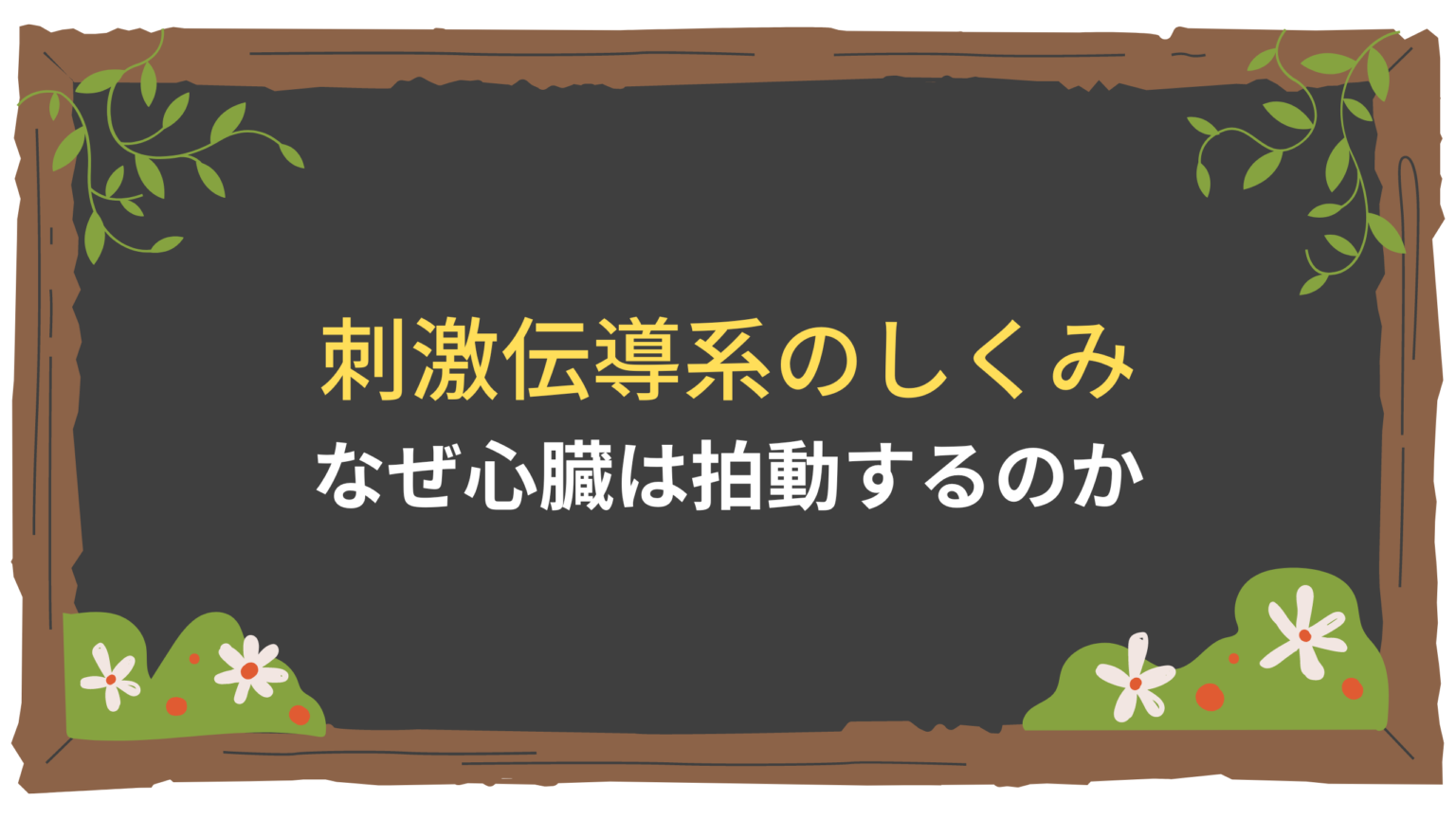 【国試難題】神経伝達物質の種類と特徴 ~アセチルコリンとノルアドレナリン~ ‣ 看護師国家試験対策|オンライン個別指導|サキのまなびや