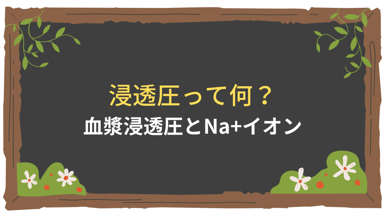 【国試頻出】そもそも酸塩基平衡って何？ 〜アシドーシスとアルカローシスを看護の視点で解説〜 ‣ 看護師国家試験対策｜オンライン個別指導｜サキのまなびや