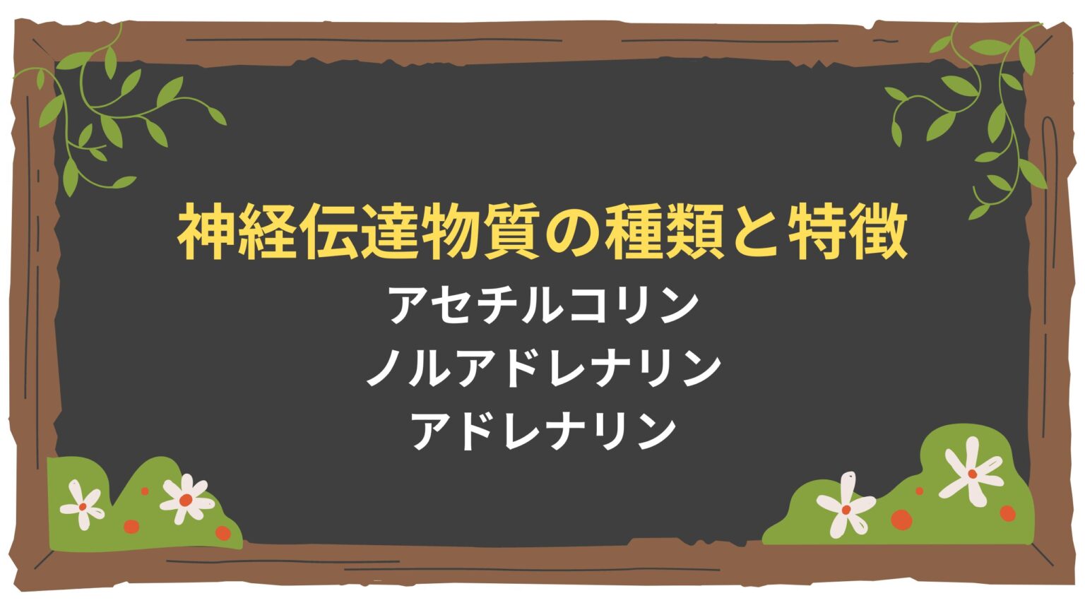 【国試難題】神経伝達物質の種類と特徴 ～アセチルコリンとノルアドレナリン～ ‣ 看護師国家試験対策｜オンライン個別指導｜サキのまなびや